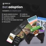 Bat Facts - Wildlife Aid Foundation