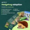 European Hedgehog Facts - Wildlife Aid Foundation